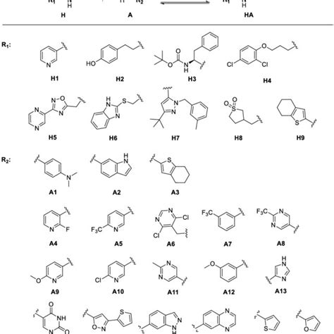 scheme 1 dynamic combinatorial libraries dcls in rad51 templated i