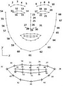 Facial Affect Estimation Cimlab