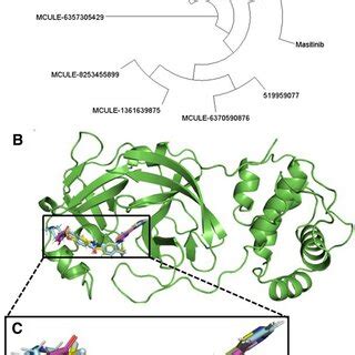 Lead Compound Identification Through Proteinligand Interaction