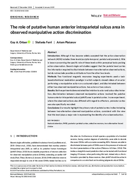 Pdf The Role Of Putative Human Anterior Intraparietal Sulcus Area In Observed Manipulative