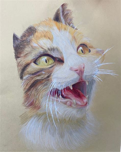 쑥쑥 실력이 늘어가는 시니어여학생 발자국소리가큰아이들 제주 영어교육도시원 작업실