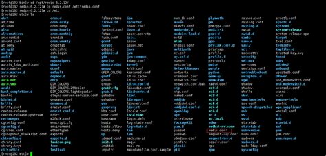 Redis 6 学习笔记，课程源自尚硅谷，书籍来自《redis开发与运维》笔记持续更新中 Csdn博客