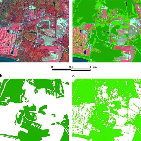 Ikonos Image Detail With Classification Results A Ikonos Imagery