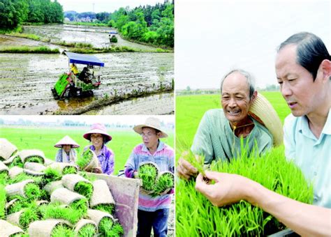 皖西日报 01版 要闻 2023年06月03日