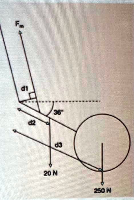 Solved Consider The Following Free Body Diagram For The Elbow Joint For A Biceps Curl Exercise