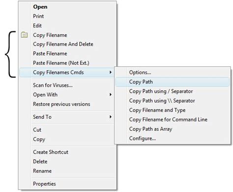 download copy filenames pro v3 2 afterdawn software downloads