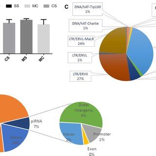 Characterization Of Small RNA Sequencing A Average Sequencing Download Scientific Diagram