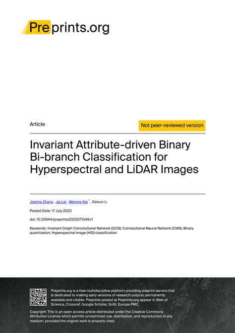 Pdf Invariant Attribute Driven Binary Bi Branch Classification For