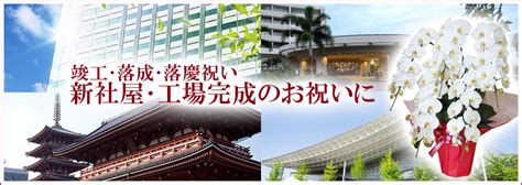 胡蝶蘭を竣工落成落慶祝い新社屋工場完成新設のお祝いに胡蝶蘭の販売、通販、お祝い、贈答、ギフトのオアシス
