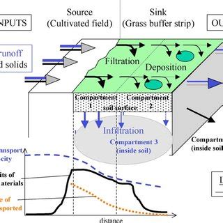Schematic Representation Of The Functioning Of A Grass Buffer Download Scientific Diagram