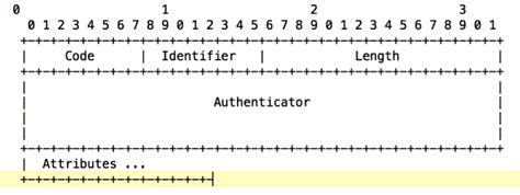 Programming For Beginners Radius Packet Format