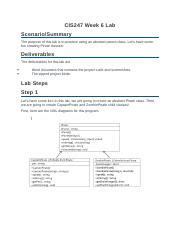CIS247 Week 6 Lab Instructions JSL Docx CIS247 Week 6 Lab Scenario Summary The Purpose Of This