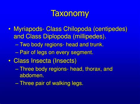 Ppt Phylum Arthropoda Subphylum Uniramia Powerpoint Presentation Free Download Id 327552