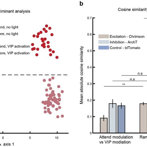 Attention And Vip Modulations Are Orthogonal A Mean Stimulus Evoked Download Scientific