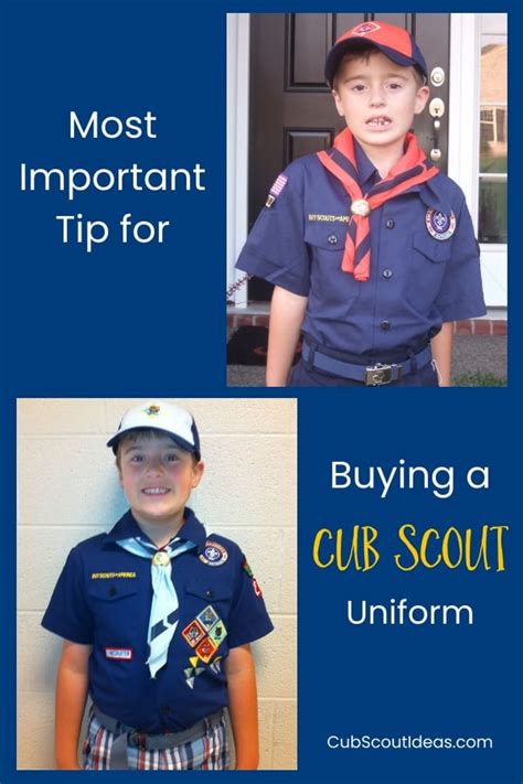 What Does The Cub Scout Pack Committee Do Cub Scout Ideas