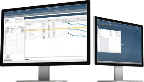 Efficient Project Management With Sap Business One