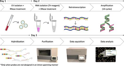 Final Workflow For EV RNA Extraction And Analysis On The NCounter Download Scientific Diagram