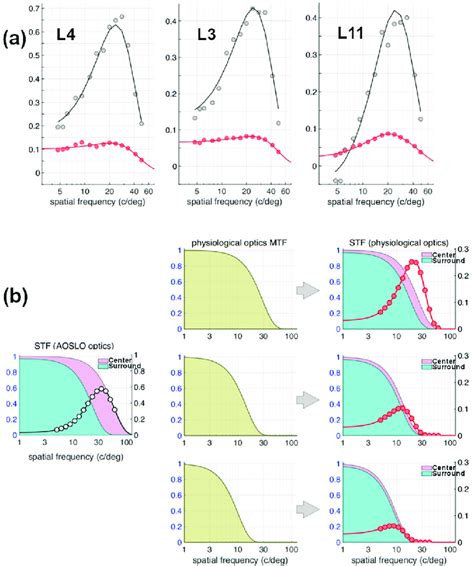 Effect Of Physiological Optics On Rgc Stfs A Gray Disks Depict Stf