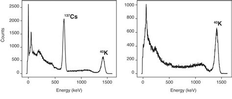 Figure From In Situ Measurement Of Cesium Contamination In Fruits From The Northern