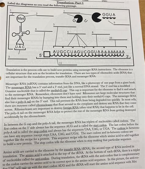 [answered] Translation Part 1 Label The Diagrams As You Read The Kunduz