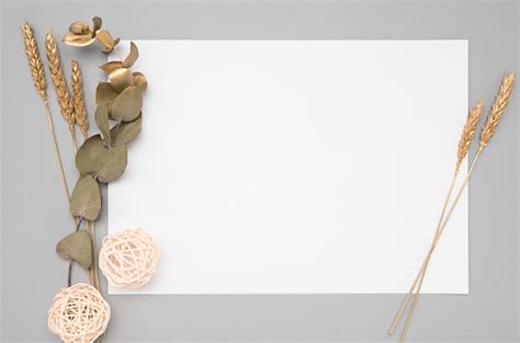 흰색 초대 카드 는 중립 테이블에 말린 유칼립투스와 황금 귀 장식모형 5x7 비율 A6 A5와 유사 0명에 대한 스톡 사진 및