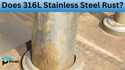 Is Steel Rust Proof At Andrew Mckeown Blog