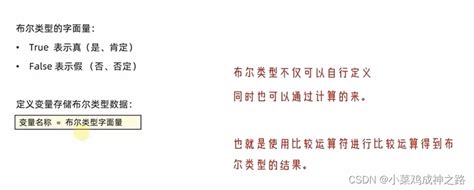 Python从入门到精通 第三章1数据输入布尔类型和比较运算类型 python input输入布尔 CSDN博客