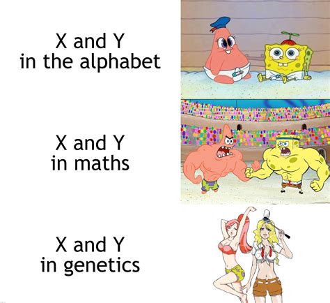 Funny Math Sexy Meme