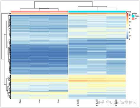 bulk RNA Seq 差异表达分析可视化 知乎