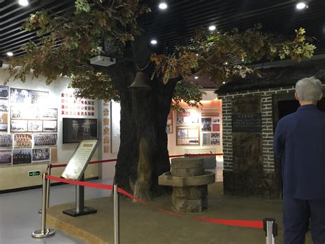 警史党性教育馆 展馆两树相望 站酷zcool