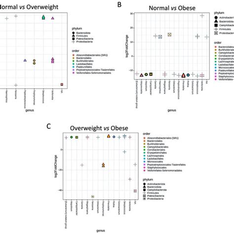 Core Microbiome Structure A Bar Plot Showing The Relative Abundance Download Scientific