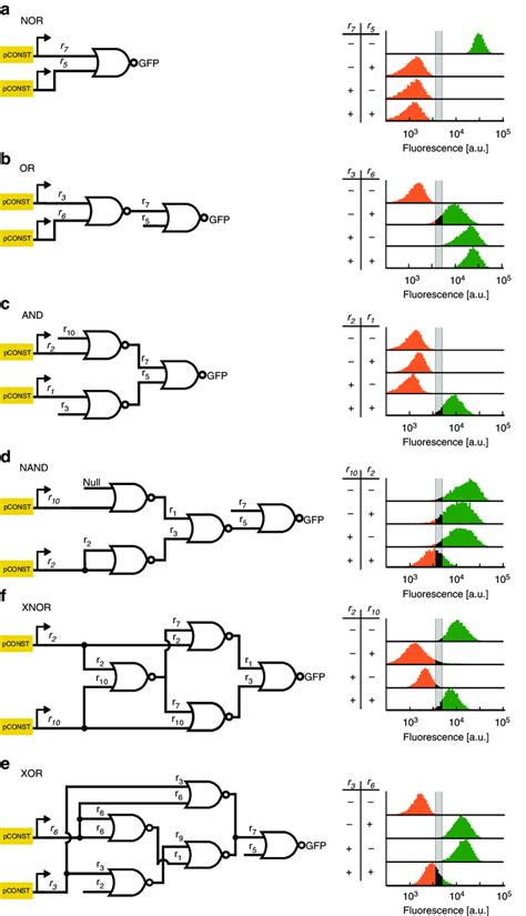 how to make a logic gate circuit