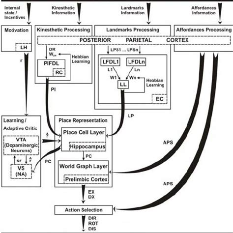 The Modules Of The Spatial Cognition Model And Their Interaction Download Scientific Diagram