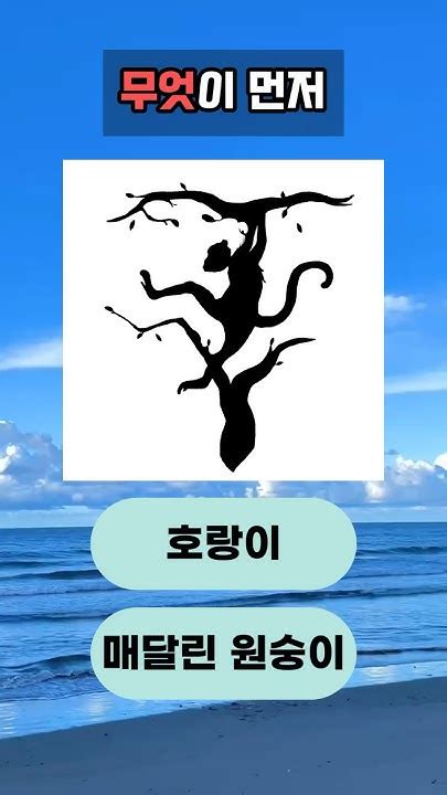 당신은 우뇌 좌뇌 당신의 진짜 강점은 심리테스트 좌뇌우뇌 테스트 Youtube