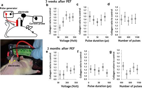 Pef System And Protocol Optimization A Schematic Representation Of The