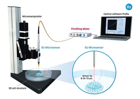 Microsensors Pyroscience Gmbh