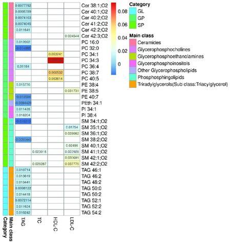 Heatmap Of The Regression Coefficients For The Models Correlating With Download Scientific