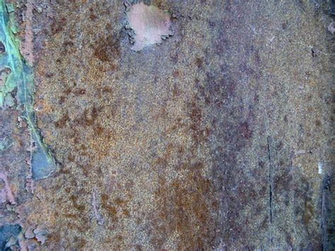 Rust Texture Stock Photo Anechka