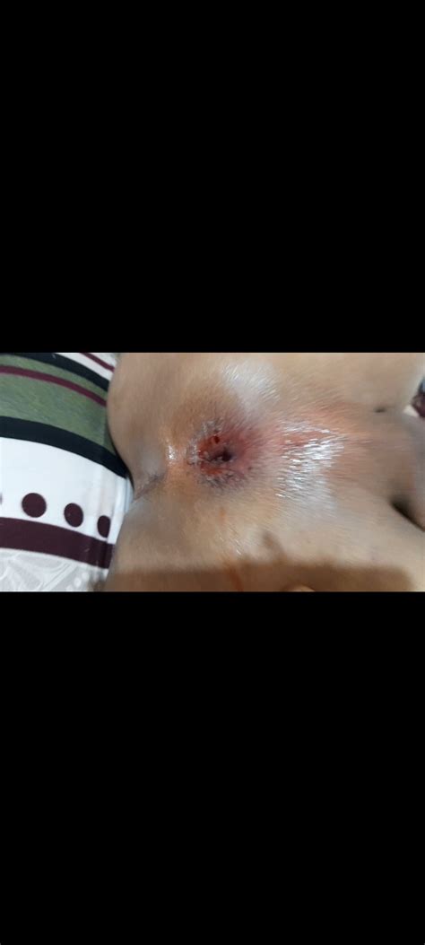 کونم گذاشت وحشی پردمو زد💦عکس سکس