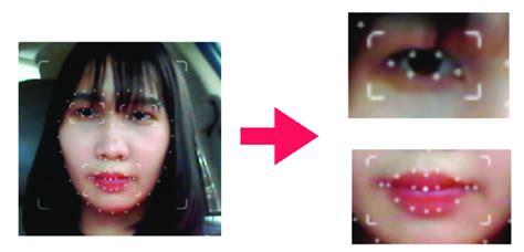 determination of the coordinates of points on the eyes and mouth
