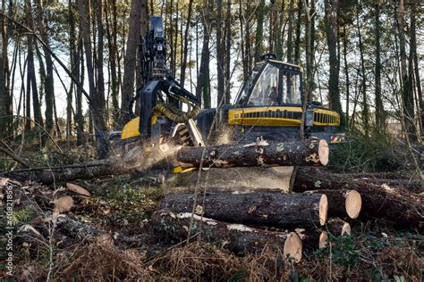 Machine For Cutting Tree Trunks Used In The Forestry Industry Stock Photo Adobe Stock
