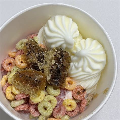 요거트아이스크림의정석 강민경 요아정 가격 후기 후르트링 자몽 연유 벌집꿀 요아정 네이버 블로그