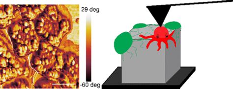 Publications Tao Research Group