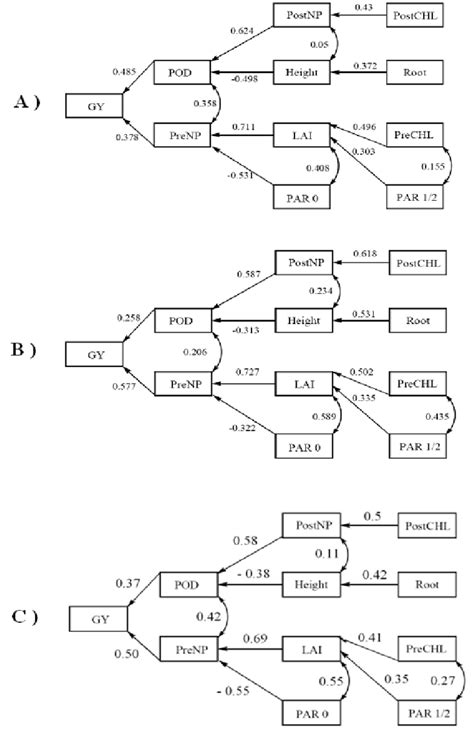 Sequential Path Model Indicating Interrelationships Among Various Download Scientific Diagram