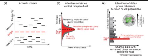 Figure 2 From Temporal Coherence And Attention In Auditory Scene Analysis Semantic Scholar