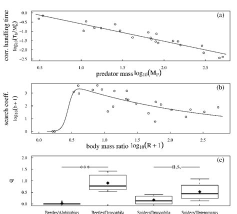 1 1 Allometric Scaling Of Functional Response Parameters A Log10