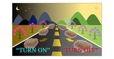 High Density Au Anchored To Ti3c2 Based Colorimetric Fluorescence Dual