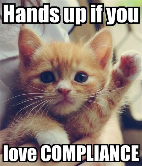 How To Make Compliance A Core Part Of Your Culture Lakisha Perry Green Bs Mpa Mba Ccep Posted