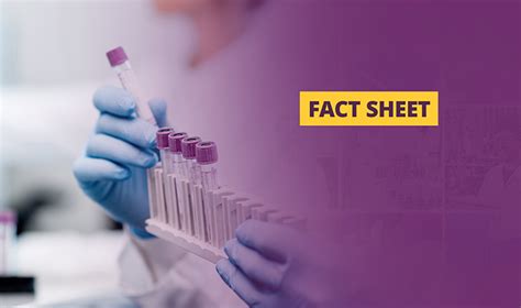 Our Small Molecule Development And Manufacturing Experience Curia