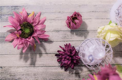 나무 판자에 보라색 클러스터 된 꽃의 평평한 위치 사진 · 무료 스톡 사진